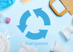 Dual System in Germany – What You Need to Know!